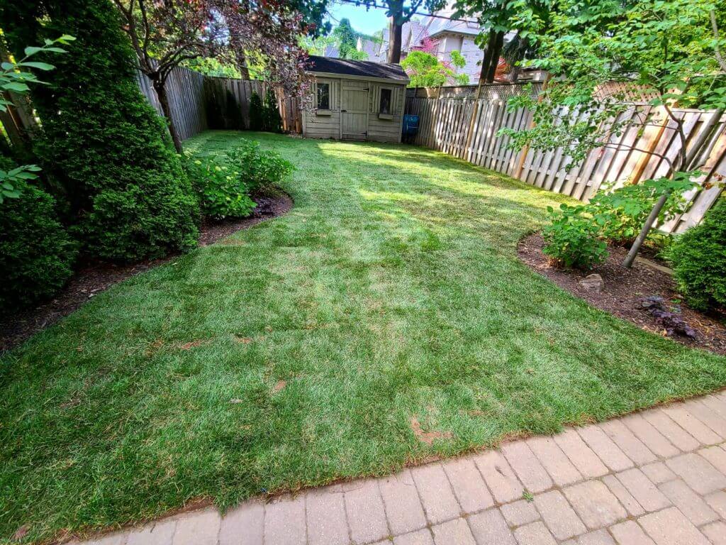 What is Sodding? - Gardening Made Easy