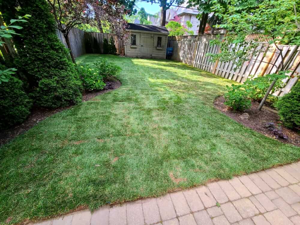 What is Sodding? - Gardening Made Easy